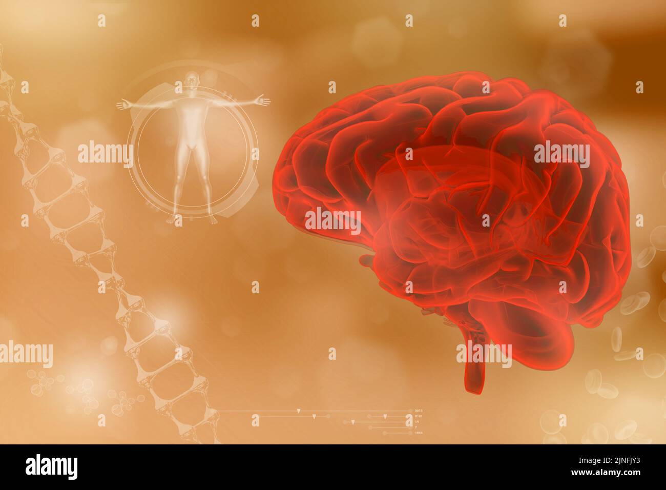 Medical 3D illustration - human brain, wisdom analyzing concept ...