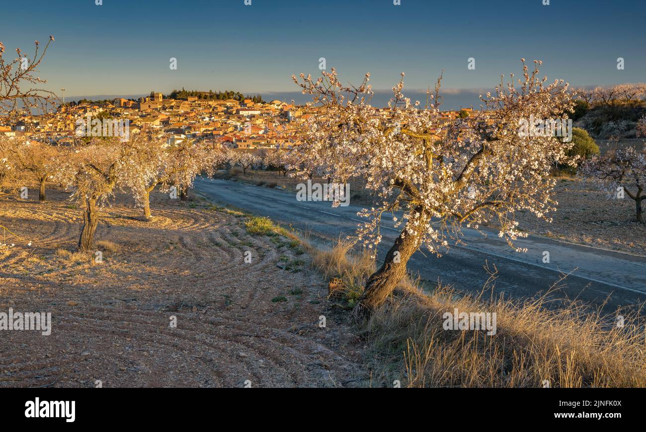 Agriculture en espagne hi-res stock photography and images - Alamy