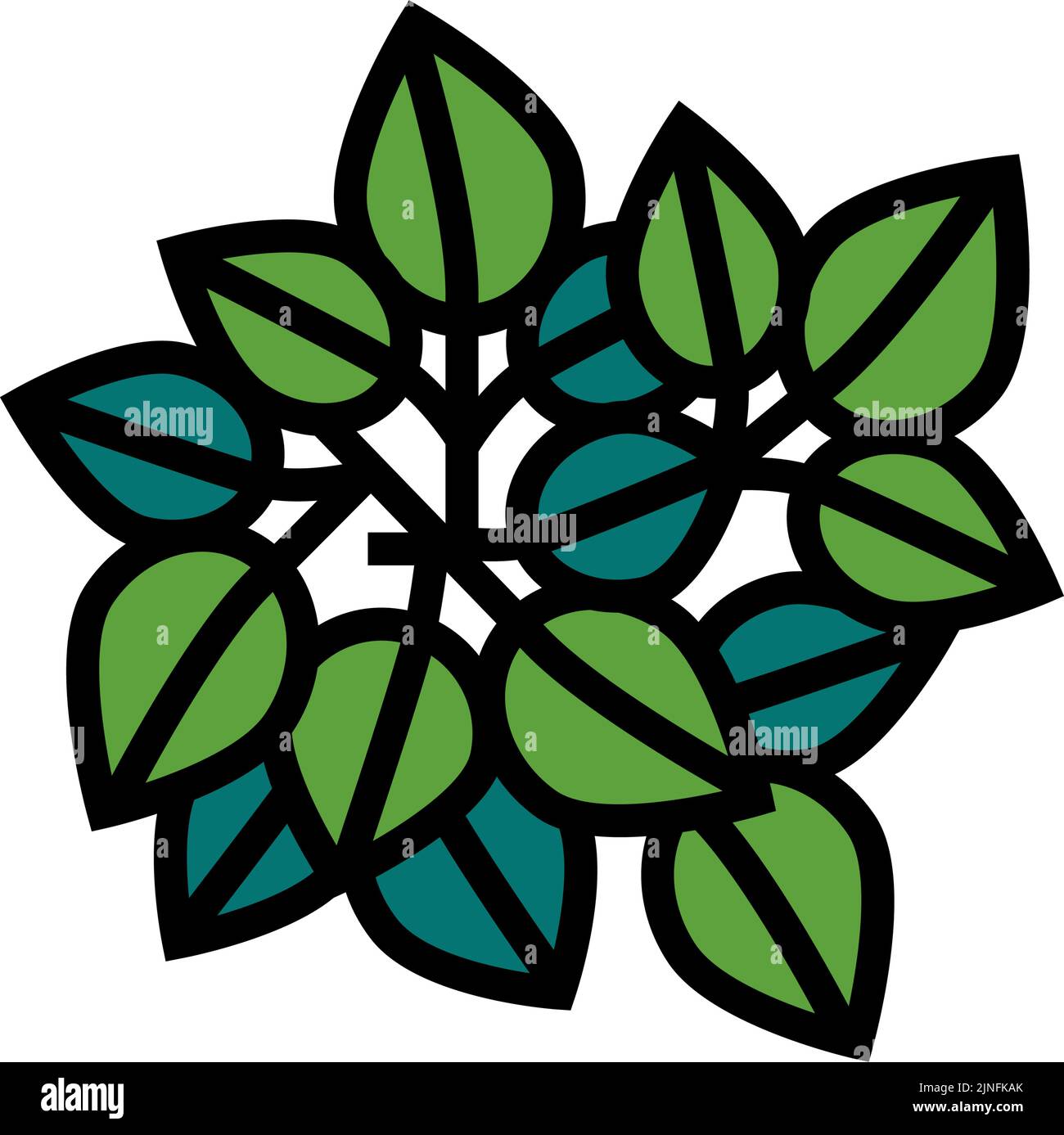 poison ivy color icon vector illustration Stock Vector Image & Art - Alamy