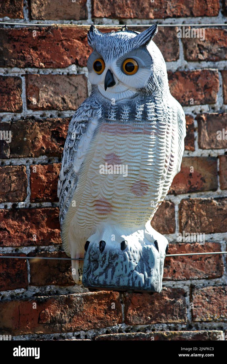 Ornamental owl hi-res stock photography and images - Alamy