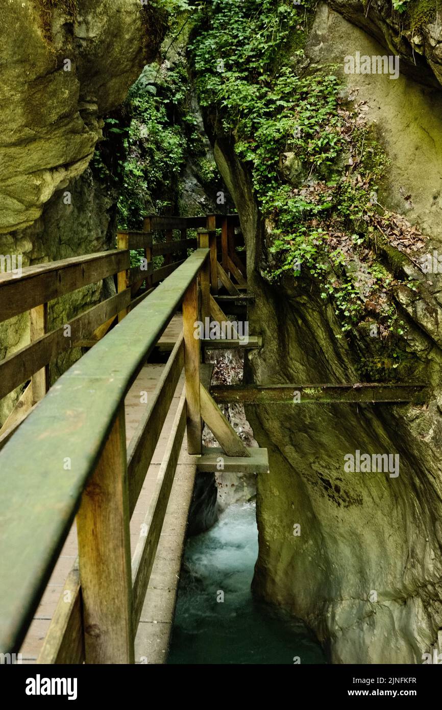 A vertical shot of a mossy wooden footbridge over the Seisenbergklamm ...