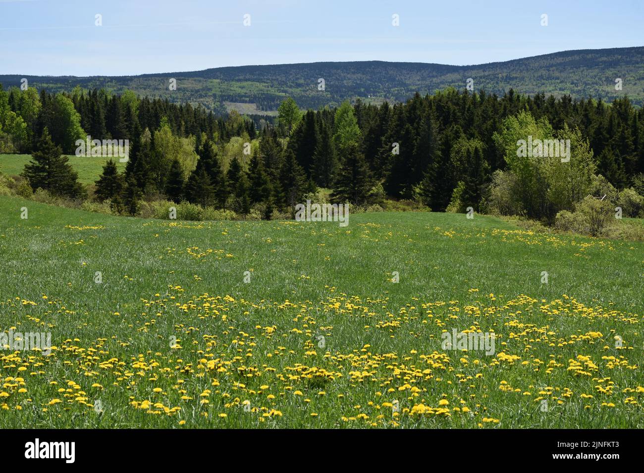 Rural quebec spring hi-res stock photography and images - Alamy