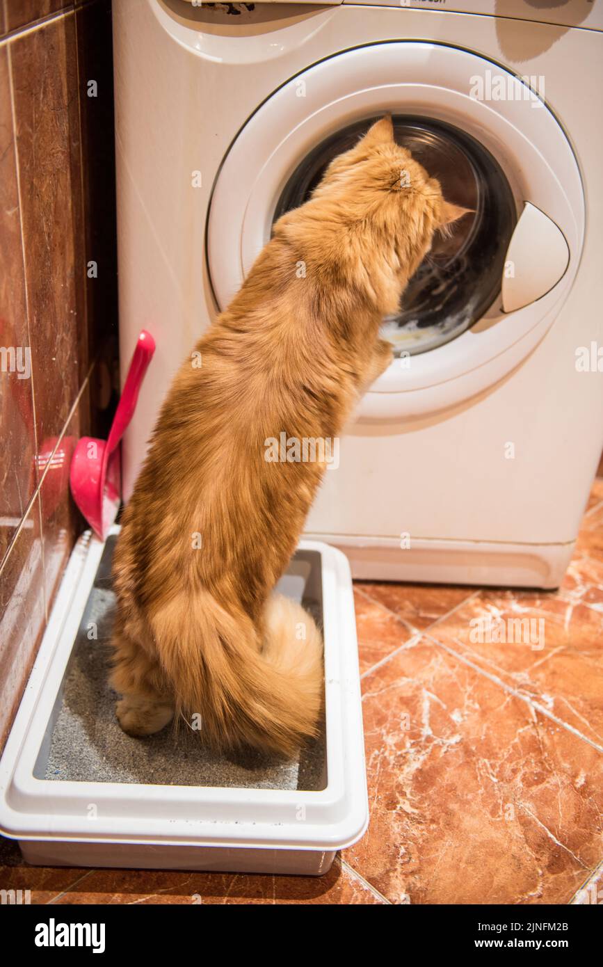 Washing machine drum from hi-res stock photography and images - Alamy