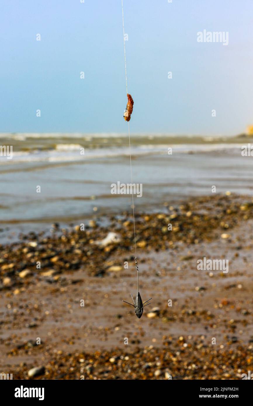 The bait on the hook in Laayoune beach in Morocco Stock Photo - Alamy