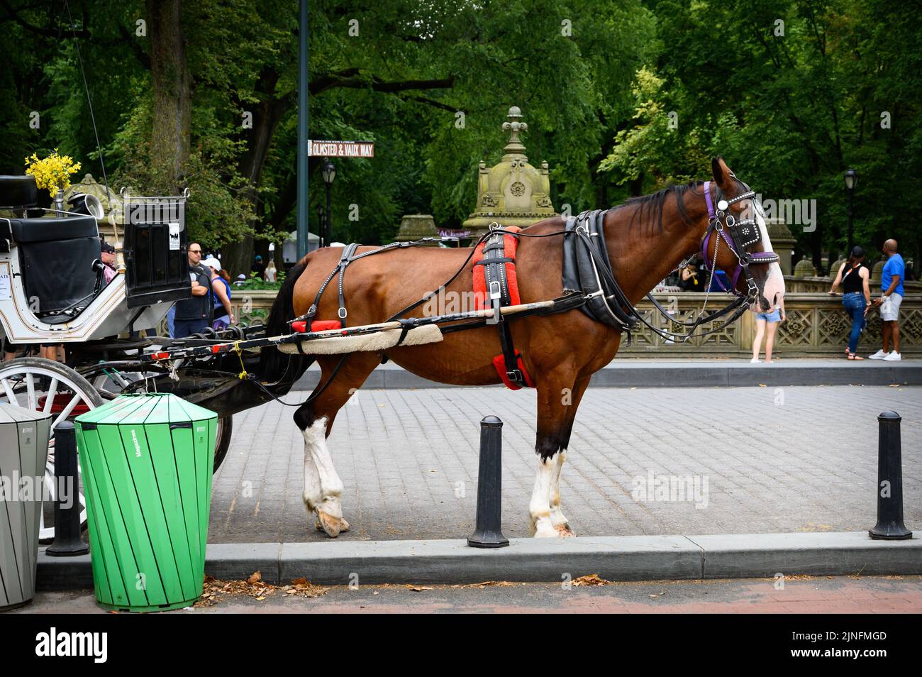 Hose drawn hi-res stock photography and images - Alamy