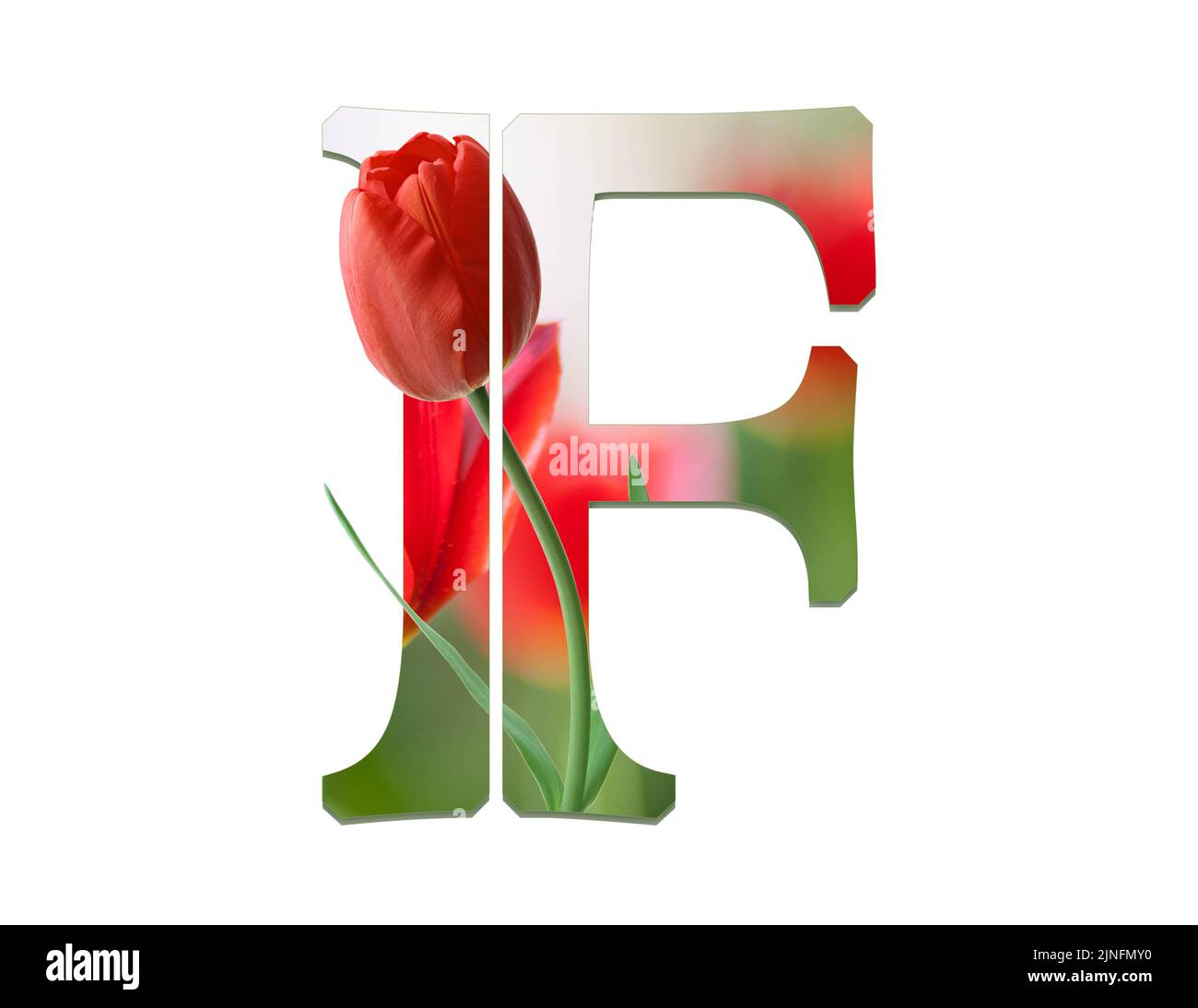 Flower font Alphabet. letter, made of Real alive flowers with Precious ...