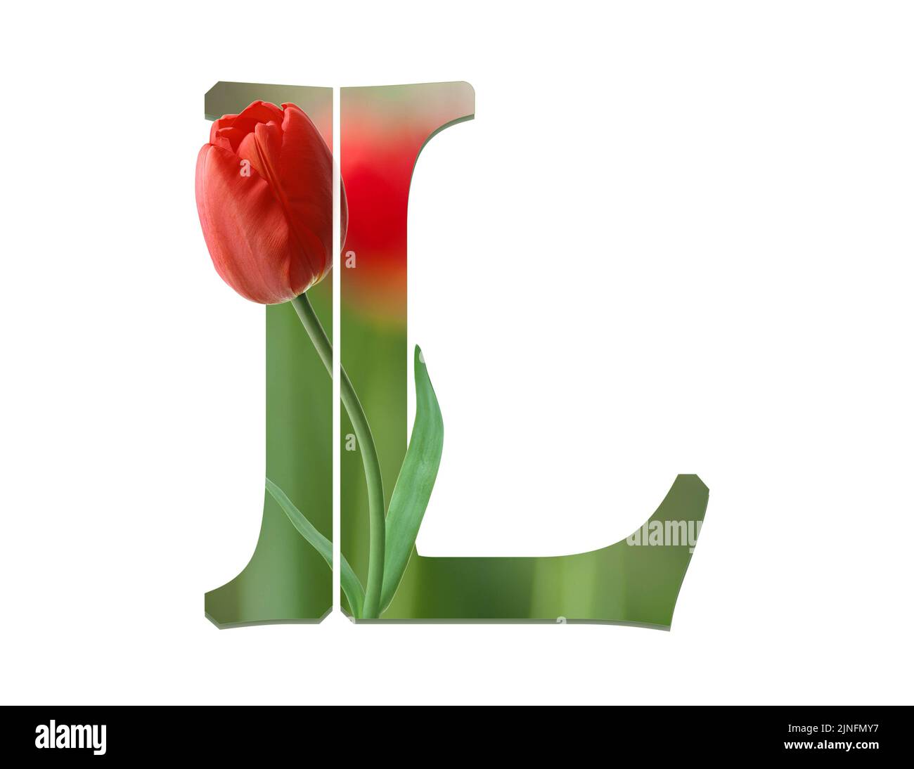 Flower font Alphabet. letter, made of Real alive flowers with Precious ...