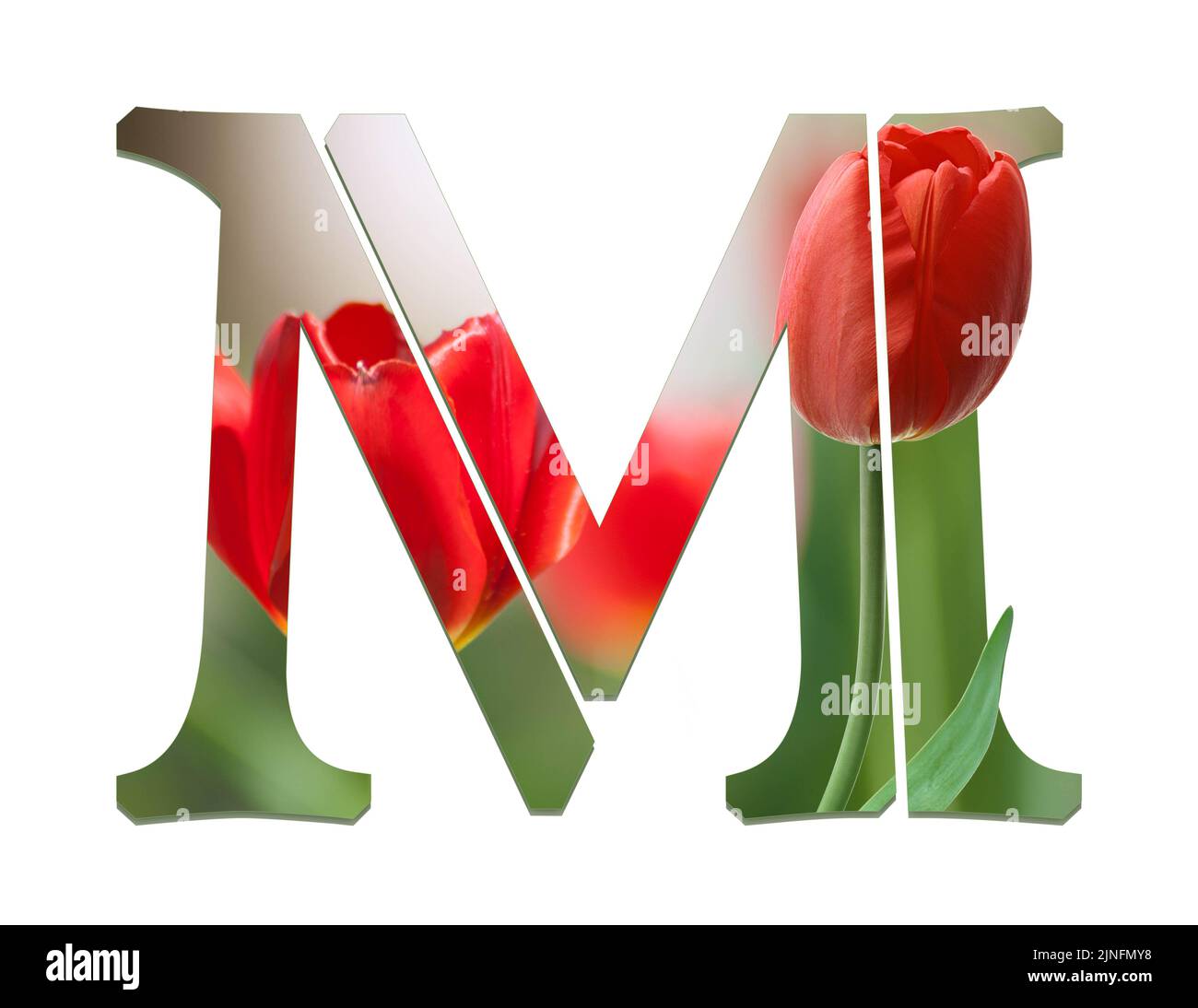 Flower font Alphabet. letter, made of Real alive flowers with Precious ...