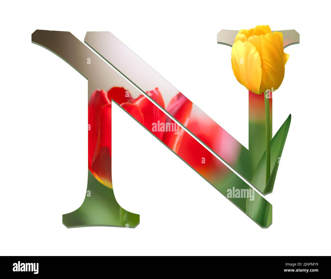 Flower font Alphabet. letter, made of Real alive flowers with Precious ...