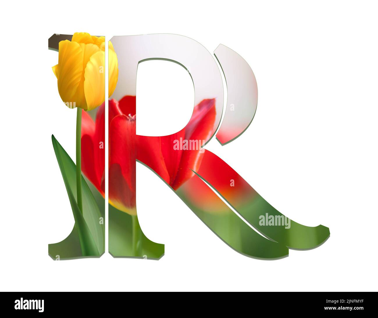 Flower font Alphabet. letter, made of Real alive flowers with Precious ...
