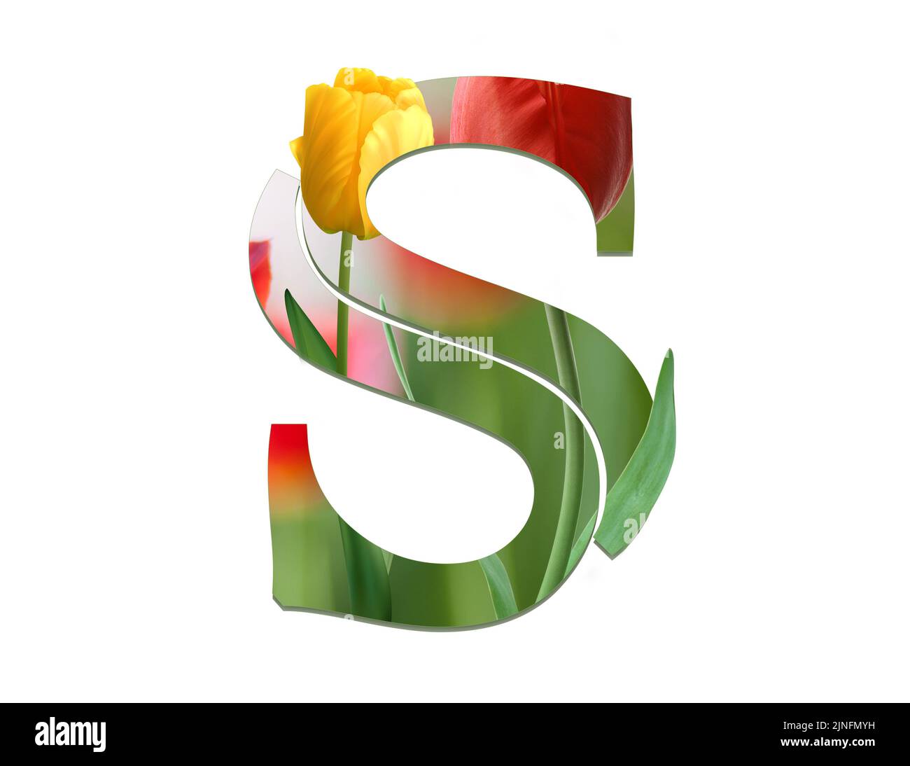 Flower font Alphabet. letter, made of Real alive flowers with Precious ...