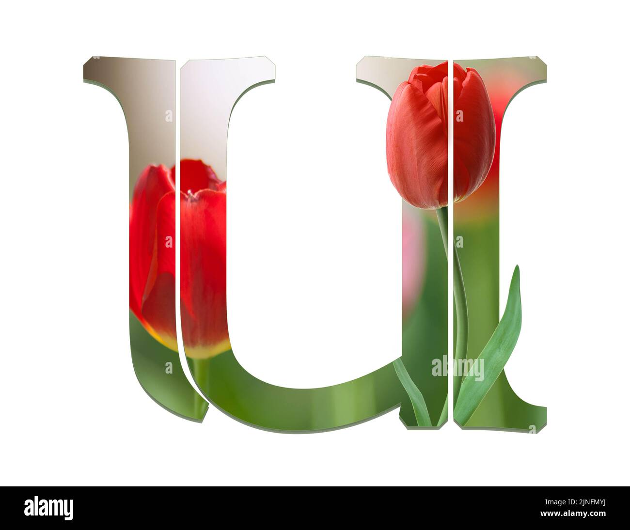 Flower font Alphabet. letter, made of Real alive flowers with Precious ...