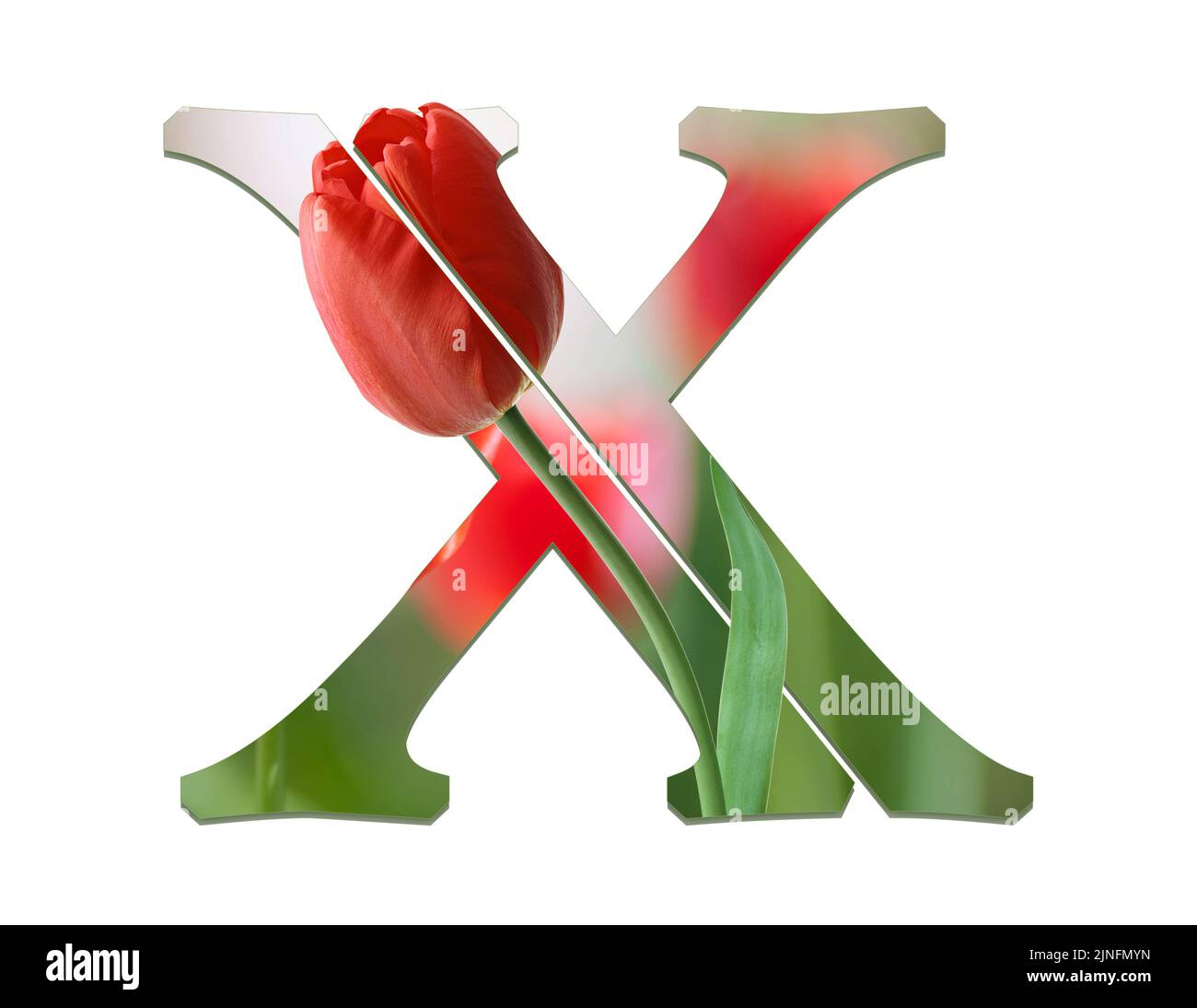 Unique style type Cut Out Stock Images & Pictures - Alamy