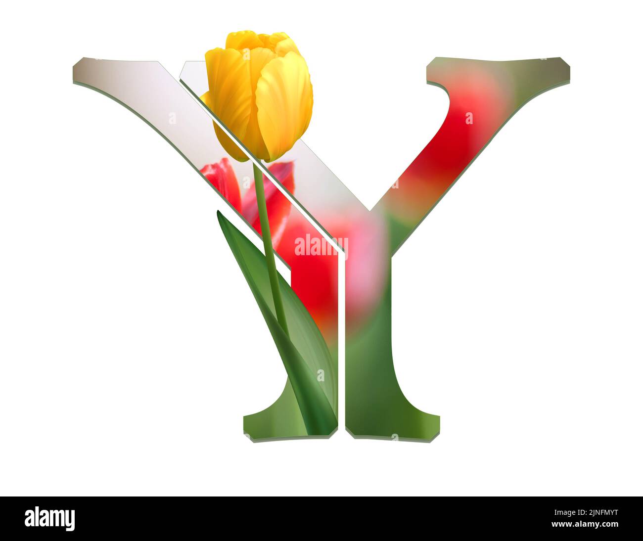 Flower font Alphabet. letter, made of Real alive flowers with Precious ...