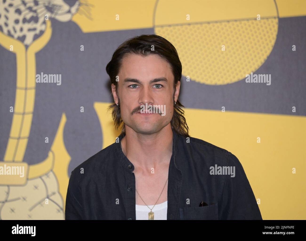 Photocall de gatos hi-res stock photography and images - Alamy