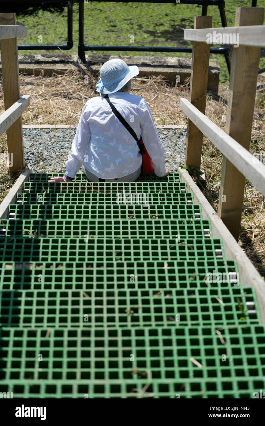 older woman seated at bottom of step on stiffkey marshes north norfolk ...