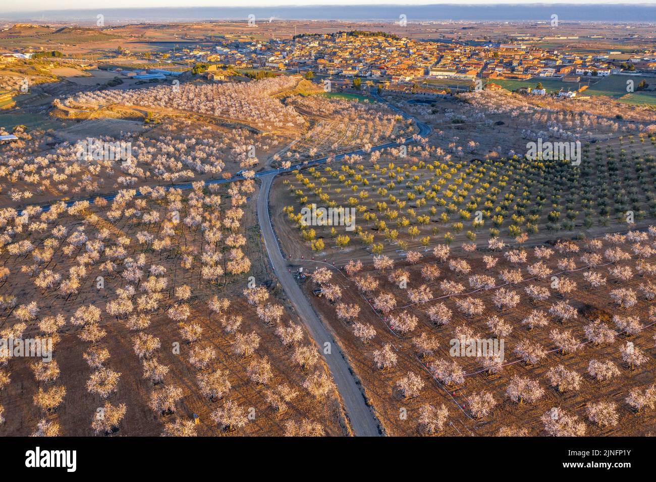 Sendero de flores hi-res stock photography and images - Alamy