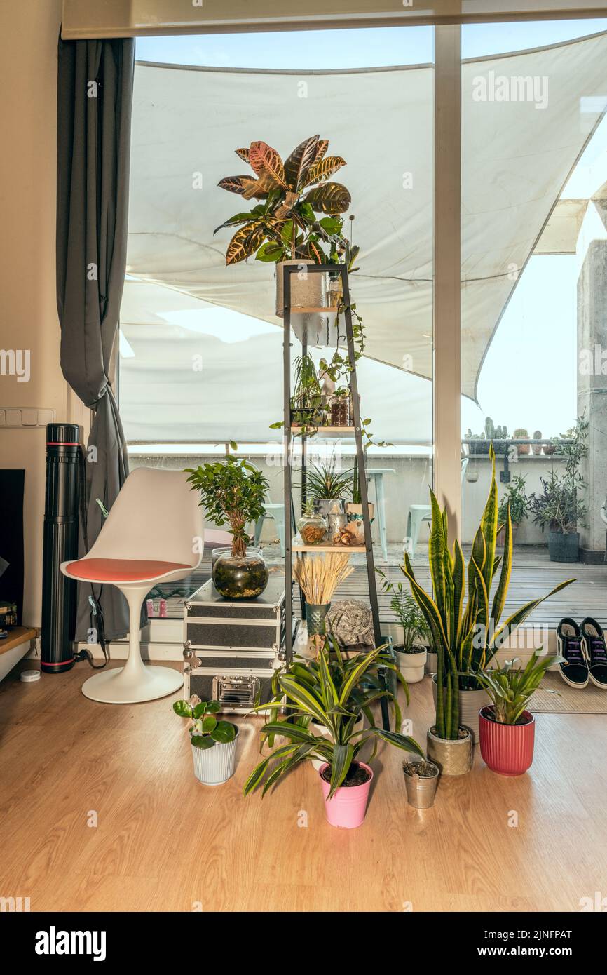 Plant-filled apartment next to walk-out windows onto a terrace with ...