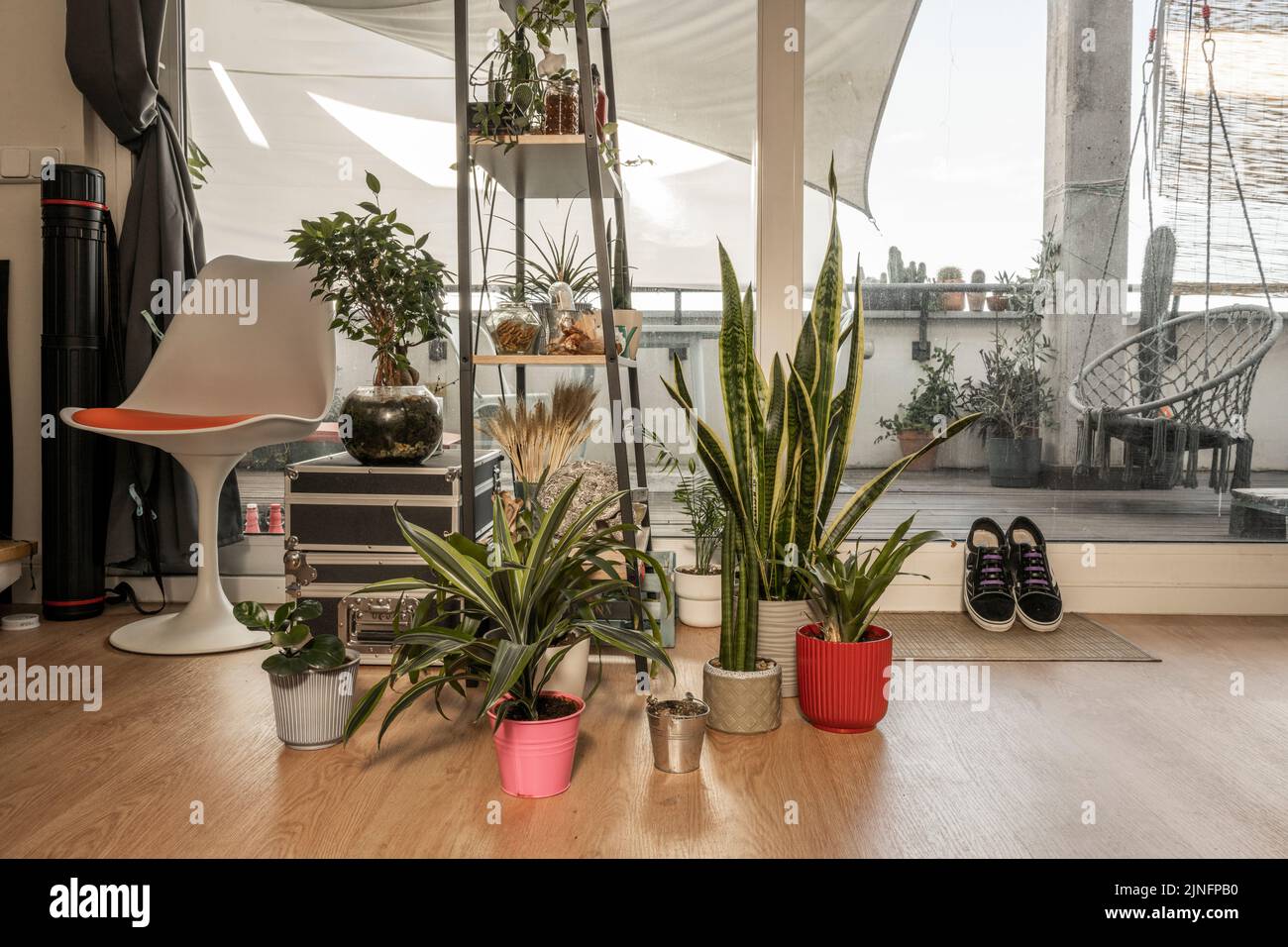 Plant-filled apartment next to walk-out windows onto a terrace with ...