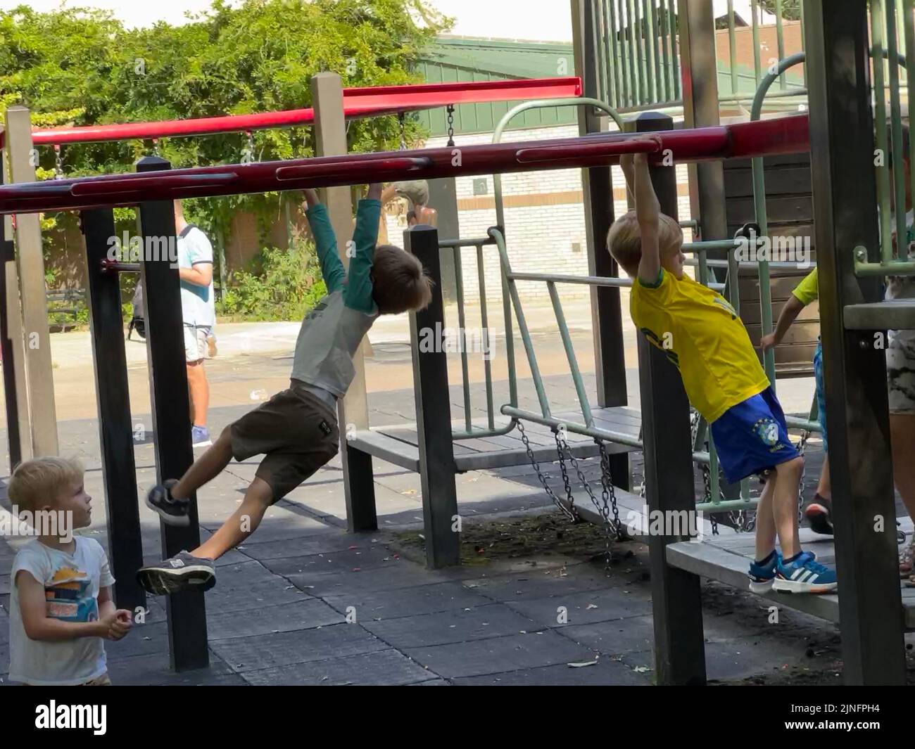 Young boys playing n the monkey bars at a playground in Prospect Park ...