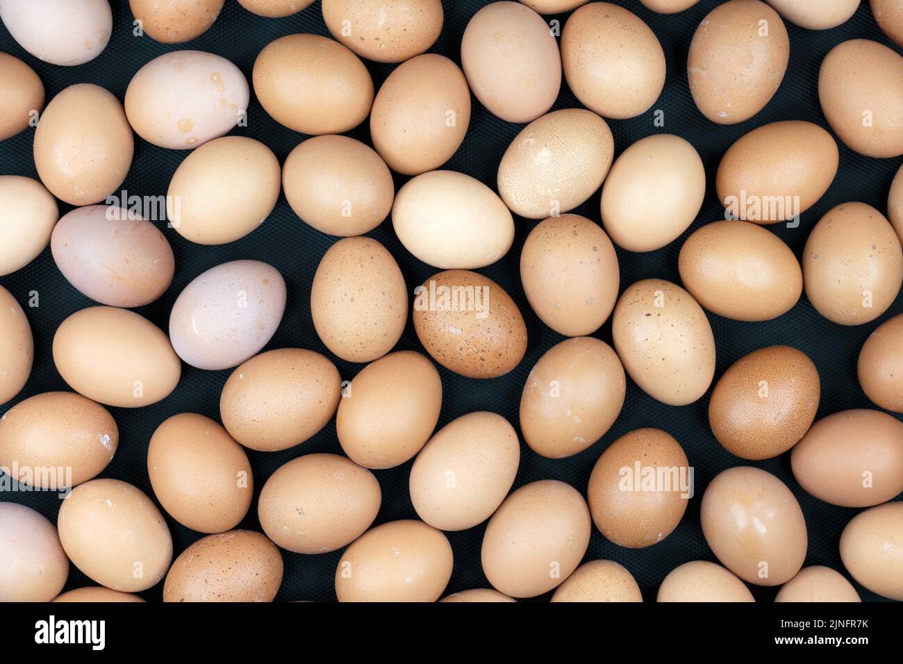 Fresh eggs from farmer hi-res stock photography and images - Alamy
