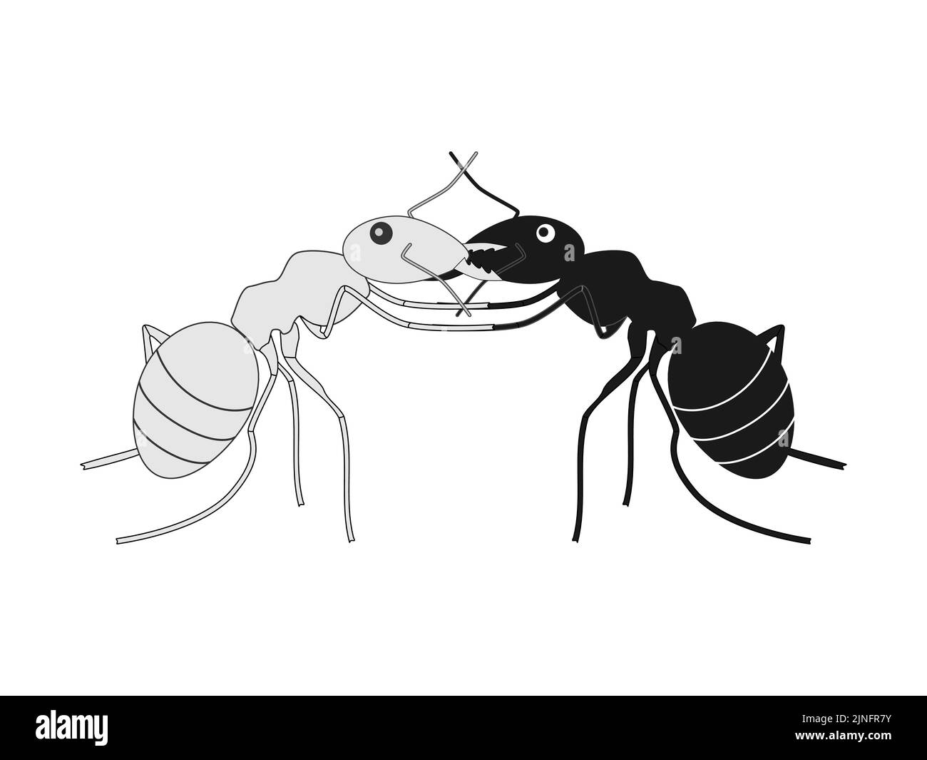 Two ants fighting Stock Vector Image & Art - Alamy