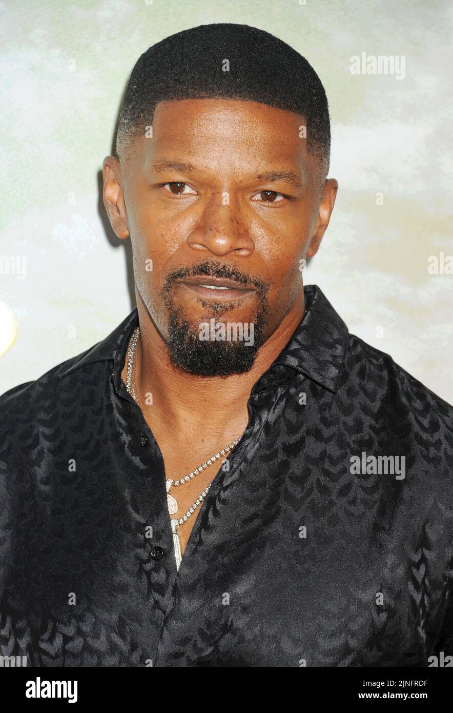 Jamie Mayer's Instagram, Twitter & Facebook on IDCrawl