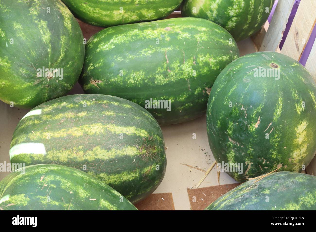 Sale of watermelons hi-res stock photography and images - Alamy