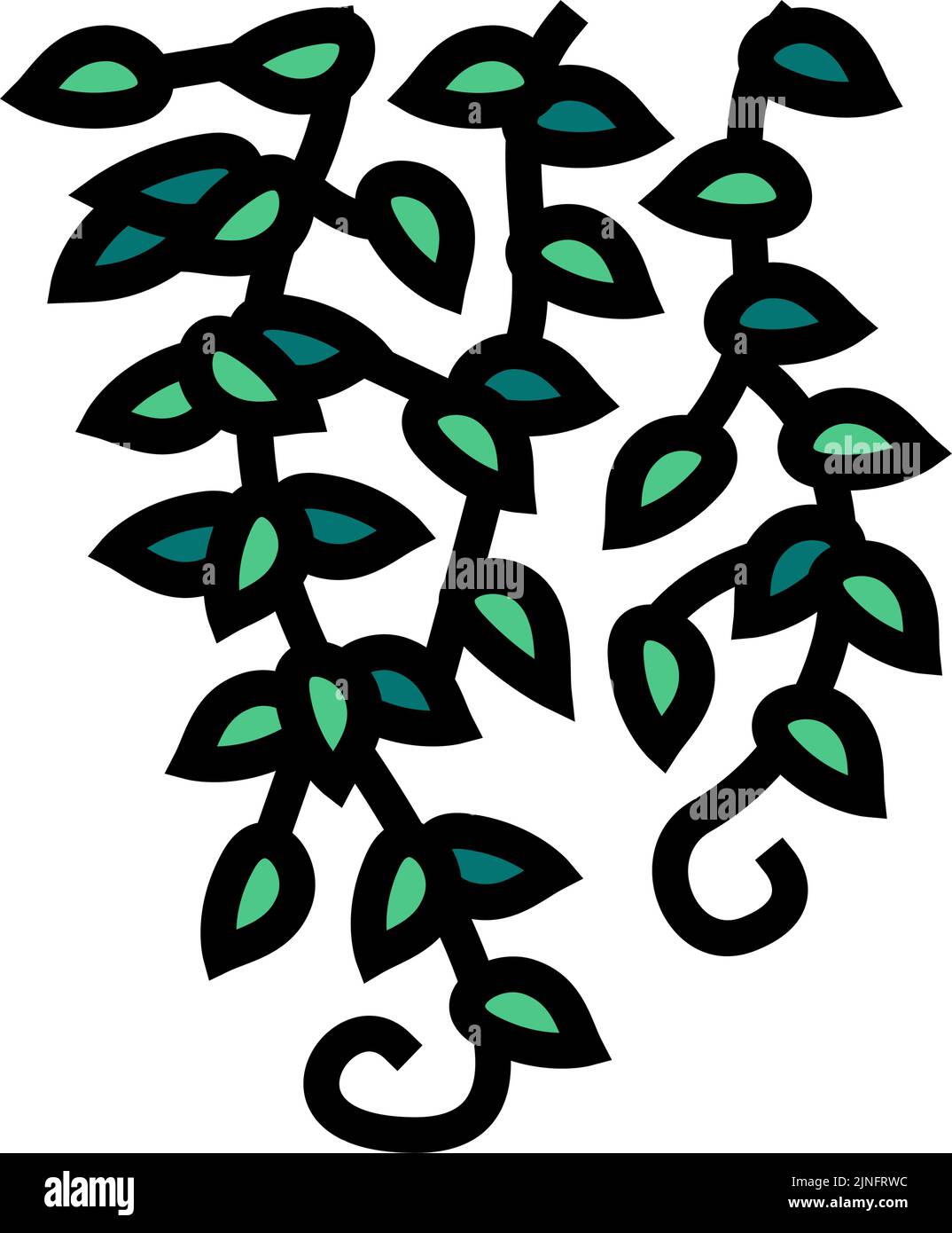 liana growing branch color icon vector illustration Stock Vector Image ...