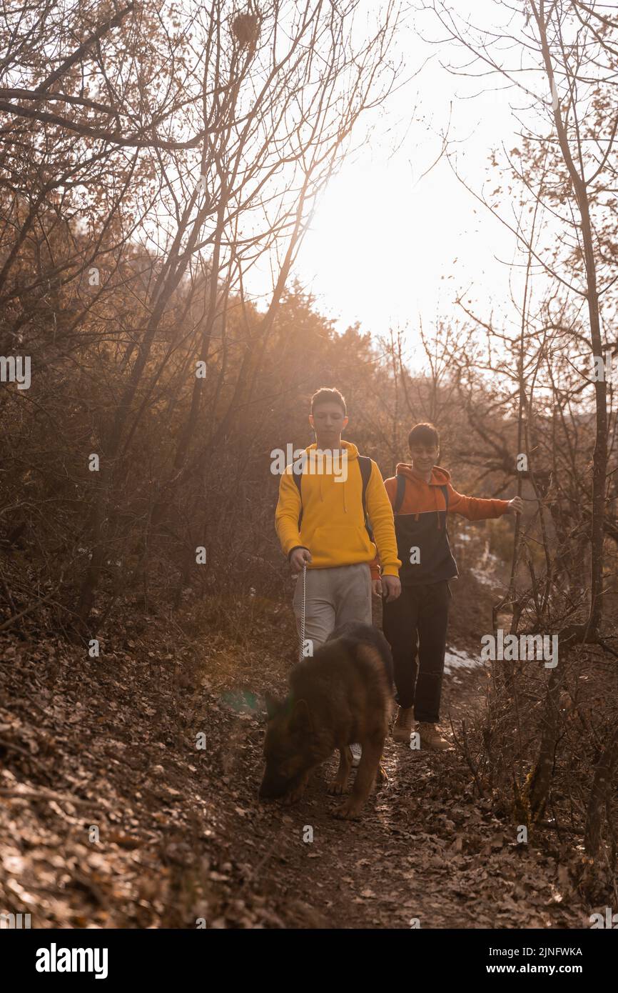 Amazing and handsome male friends are walking on the path with their ...