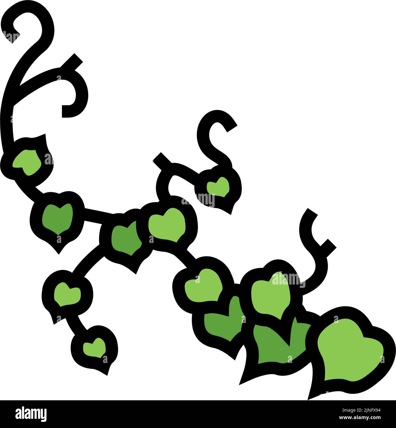 liana plant color icon vector illustration Stock Vector Image & Art - Alamy
