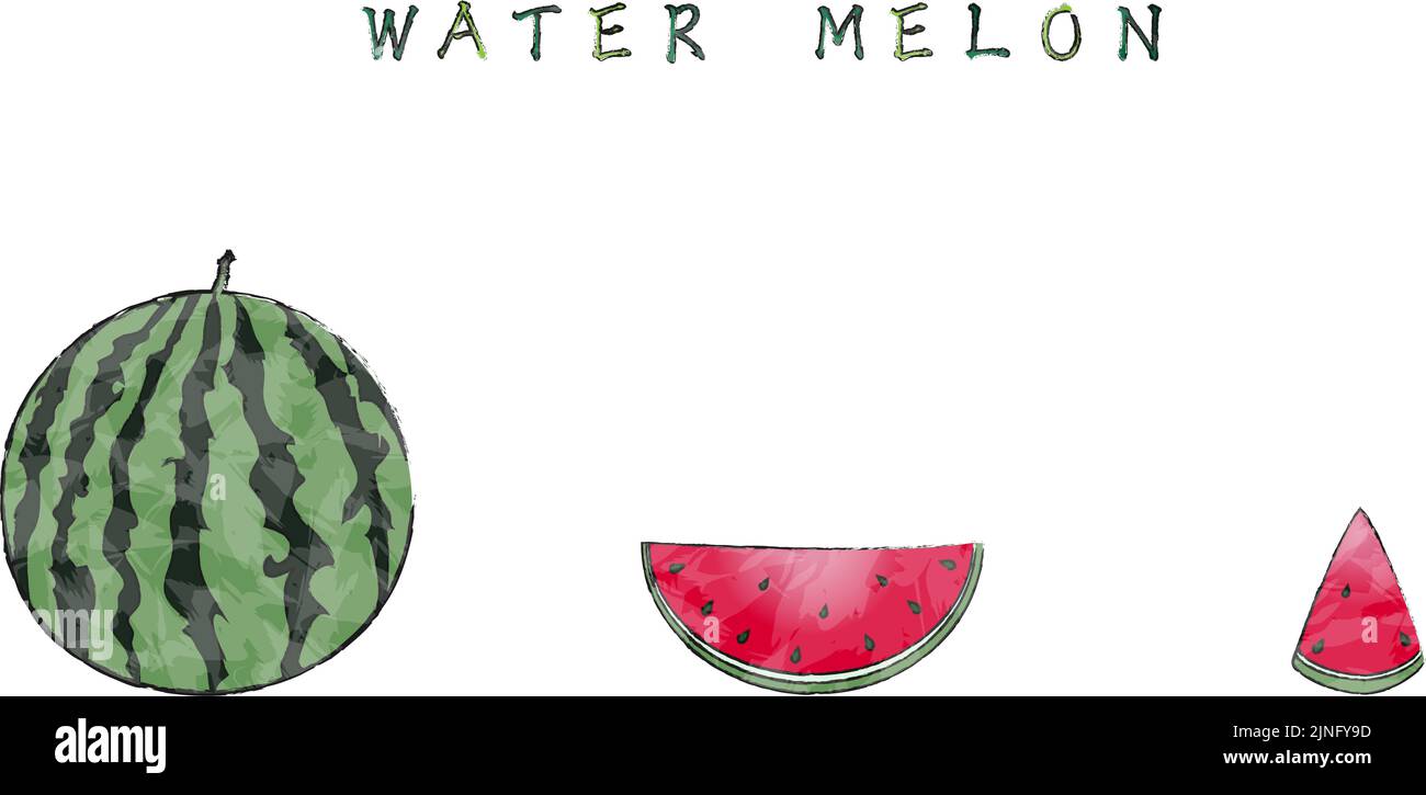 Watermelon: whole, large cut size, small cut size Stock Vector Image ...