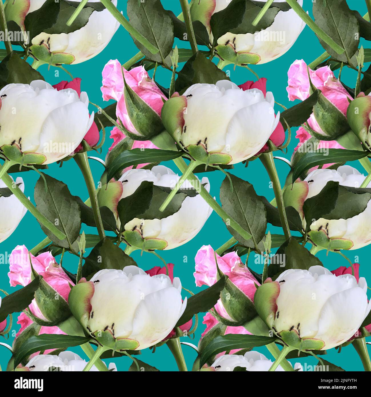 Hand drawn leaf pattern hi-res stock photography and images - Alamy