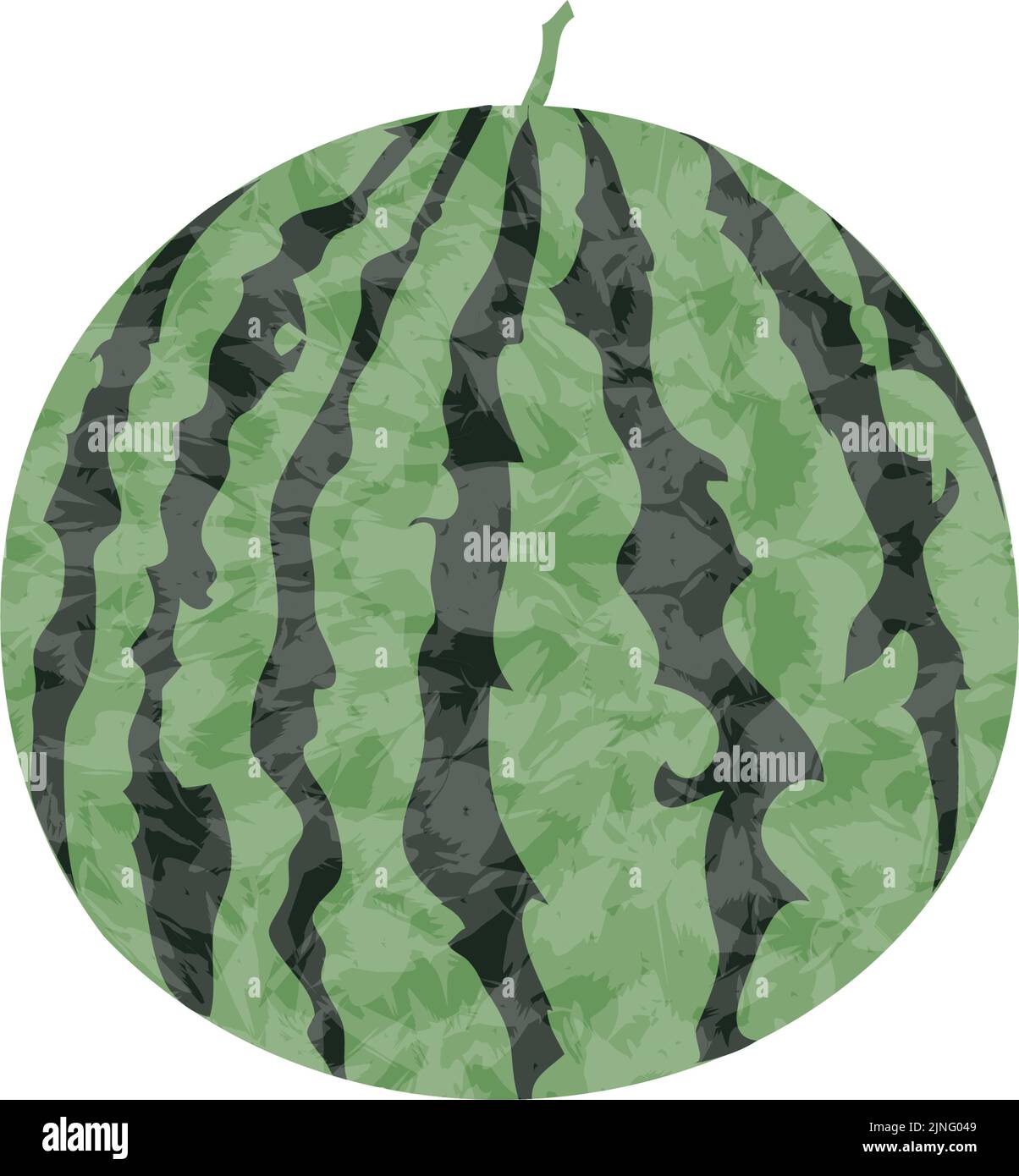 Watermelon: whole, transparent watercolor style Stock Vector Image ...