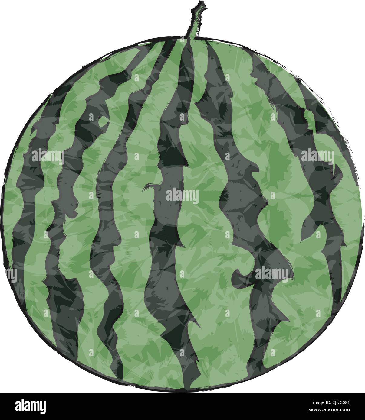 Watermelon: whole, transparent watercolor style Stock Vector Image ...