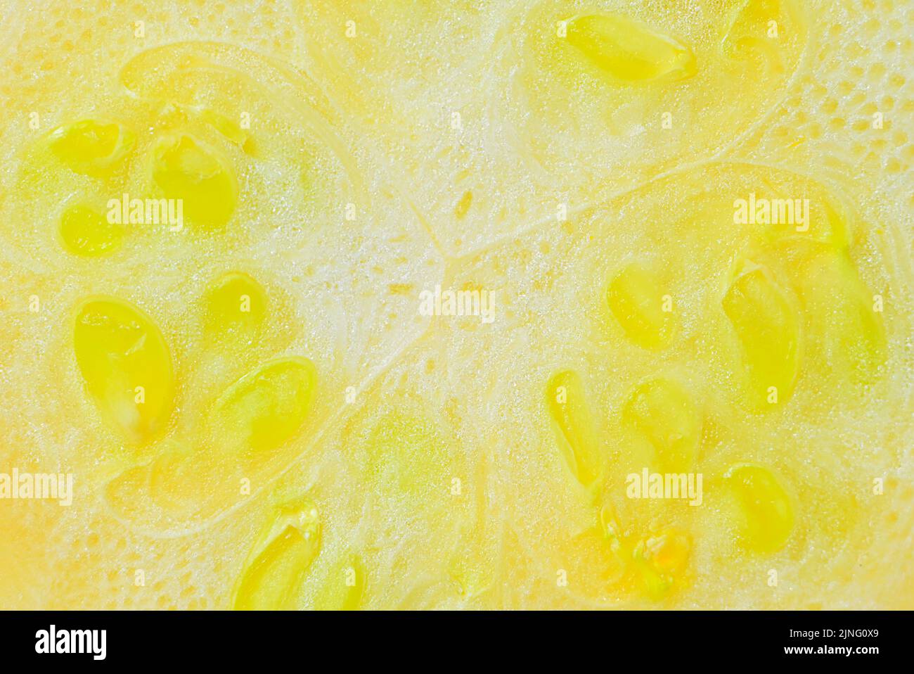macro yellow cut zucchini inside. texture, surface Stock Photo - Alamy