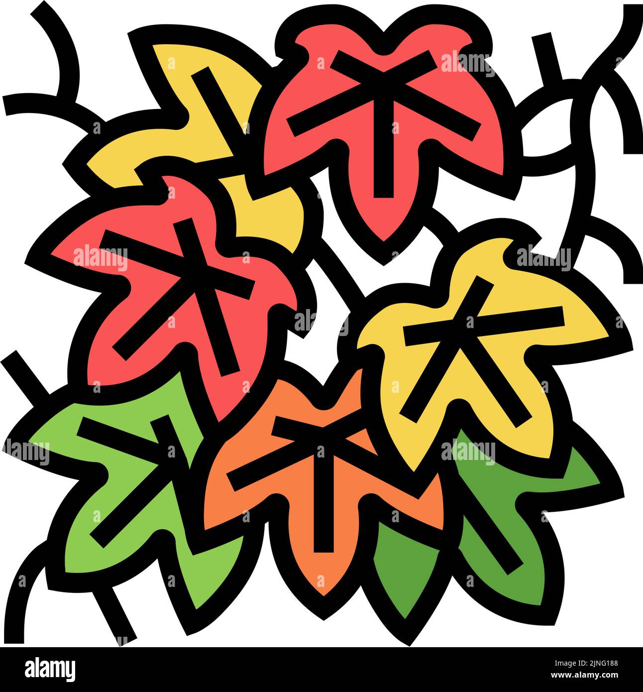 boston ivy color icon vector illustration Stock Vector Image & Art - Alamy