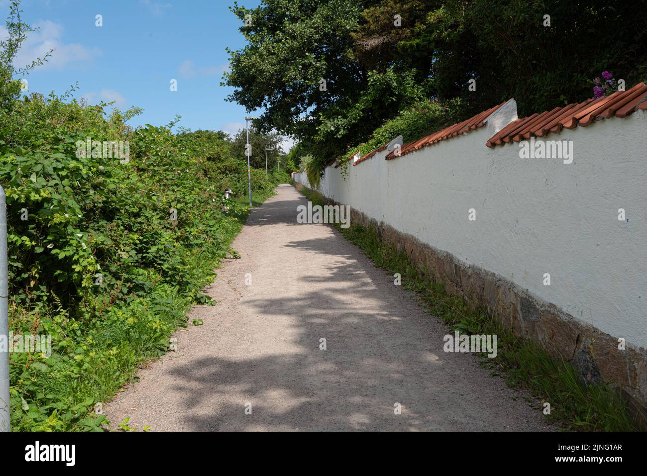 long pathway near a white concrete fence Stock Photo - Alamy