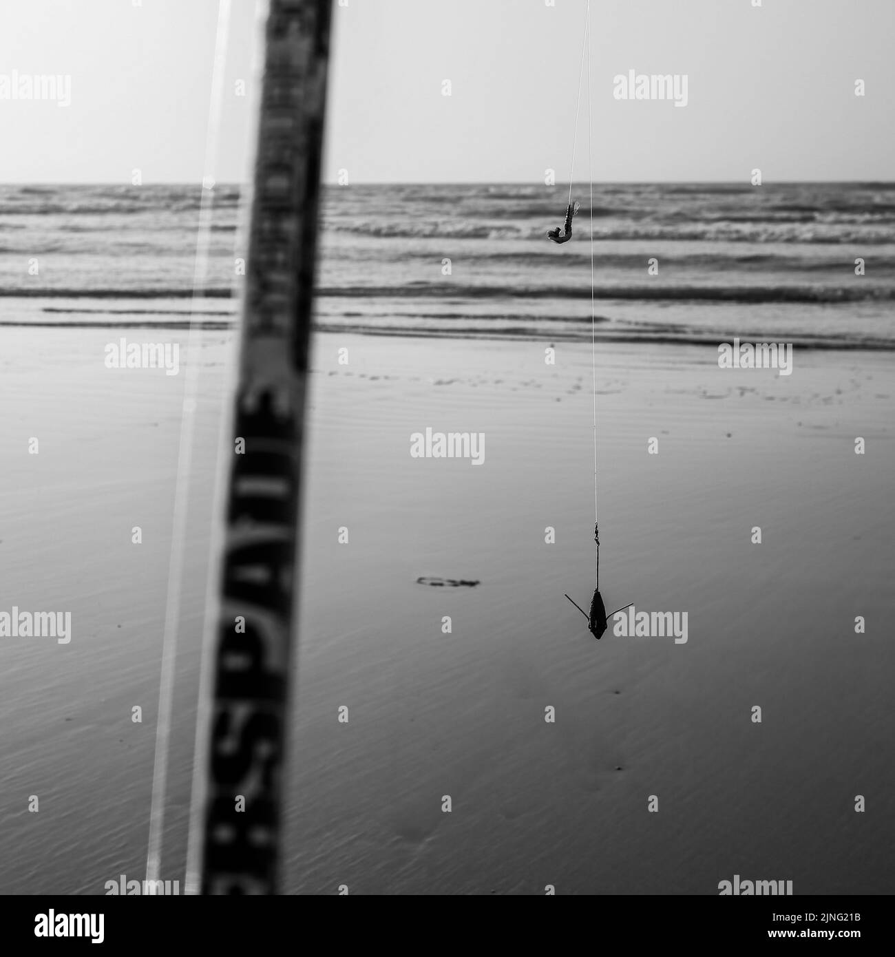 The seat, the hook keeper and the handle of a fisher rod Stock Photo ...