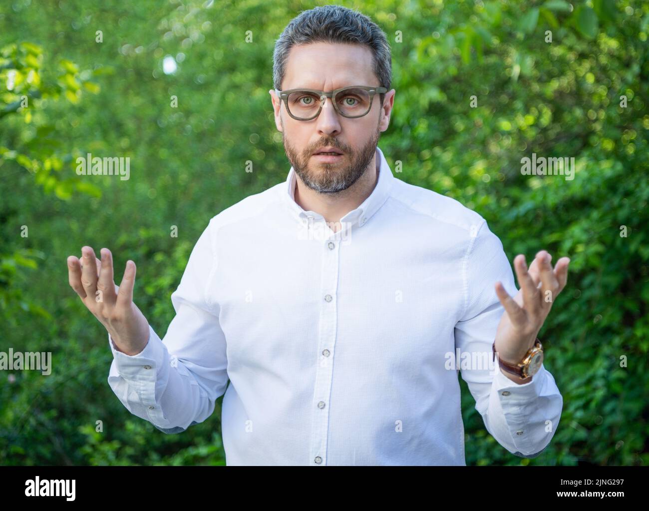 Confused professional man in glasses with open arms natural background ...