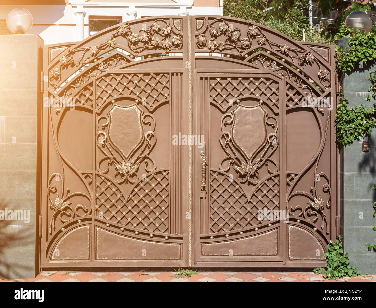Brown iron gate with forged vine pattern lit by the sun Stock Photo - Alamy