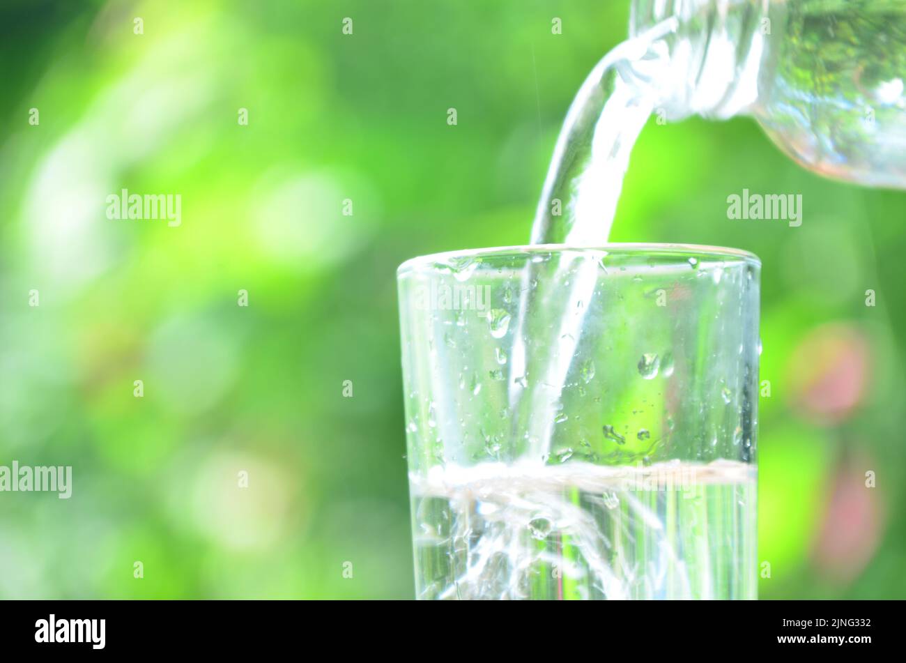 Drink water pouring in to glass outdoor over sunlight and natural green ...