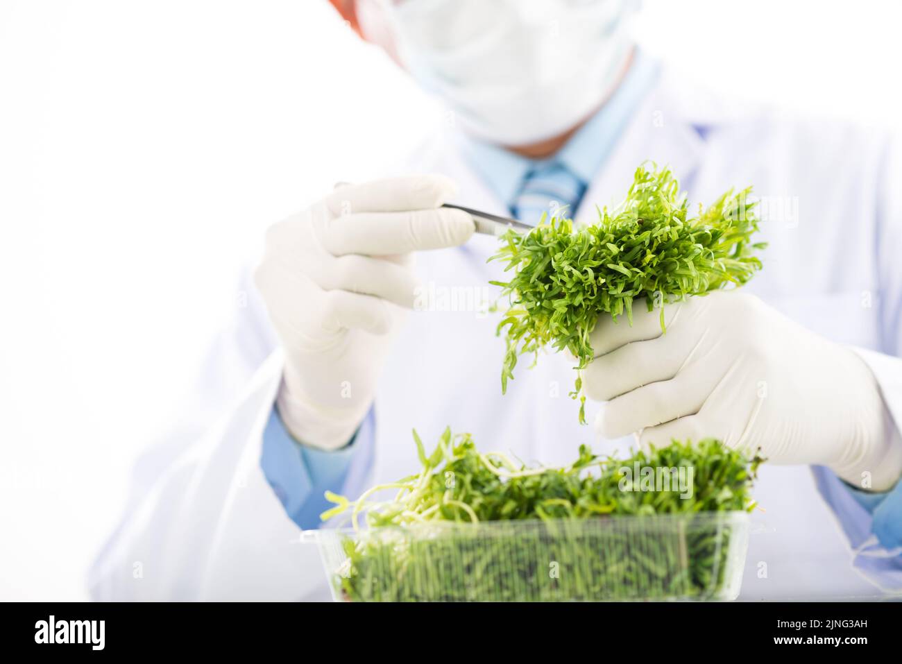 Close-up shot of unrecognizable scientist wearing white coat and rubber ...