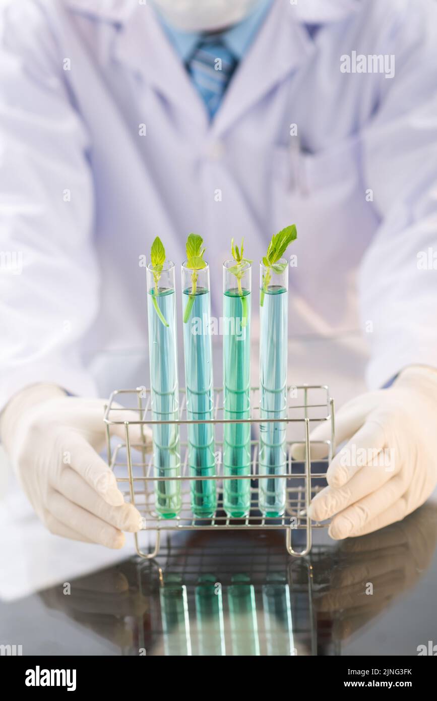 Close-up shot of unrecognizable researcher wearing white coat and ...
