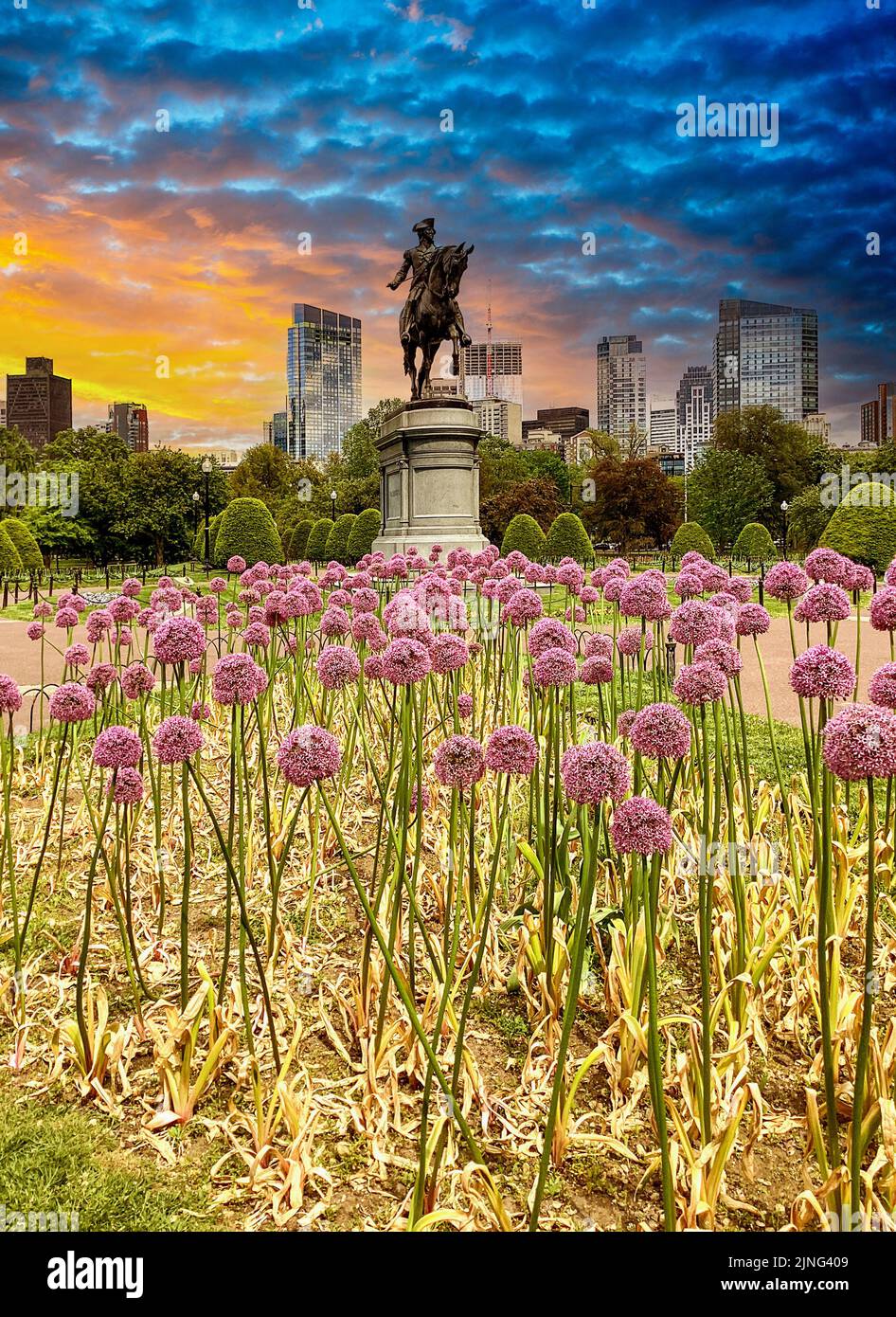 Boston Skyline and the George Washington Monument at Public Garden in ...