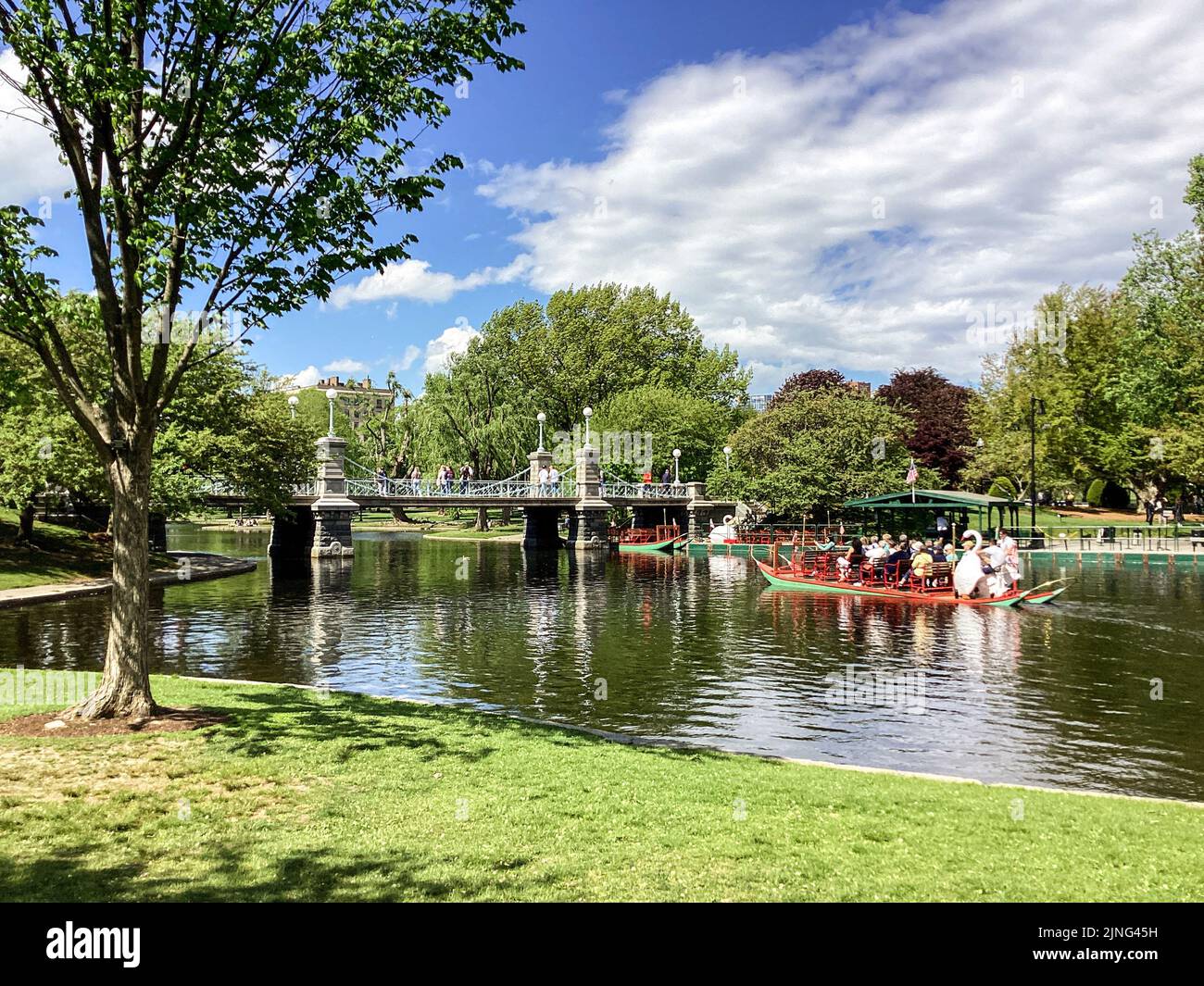 Swan Boats on the Boston Public Garden, Boston, Massachusetts Stock ...