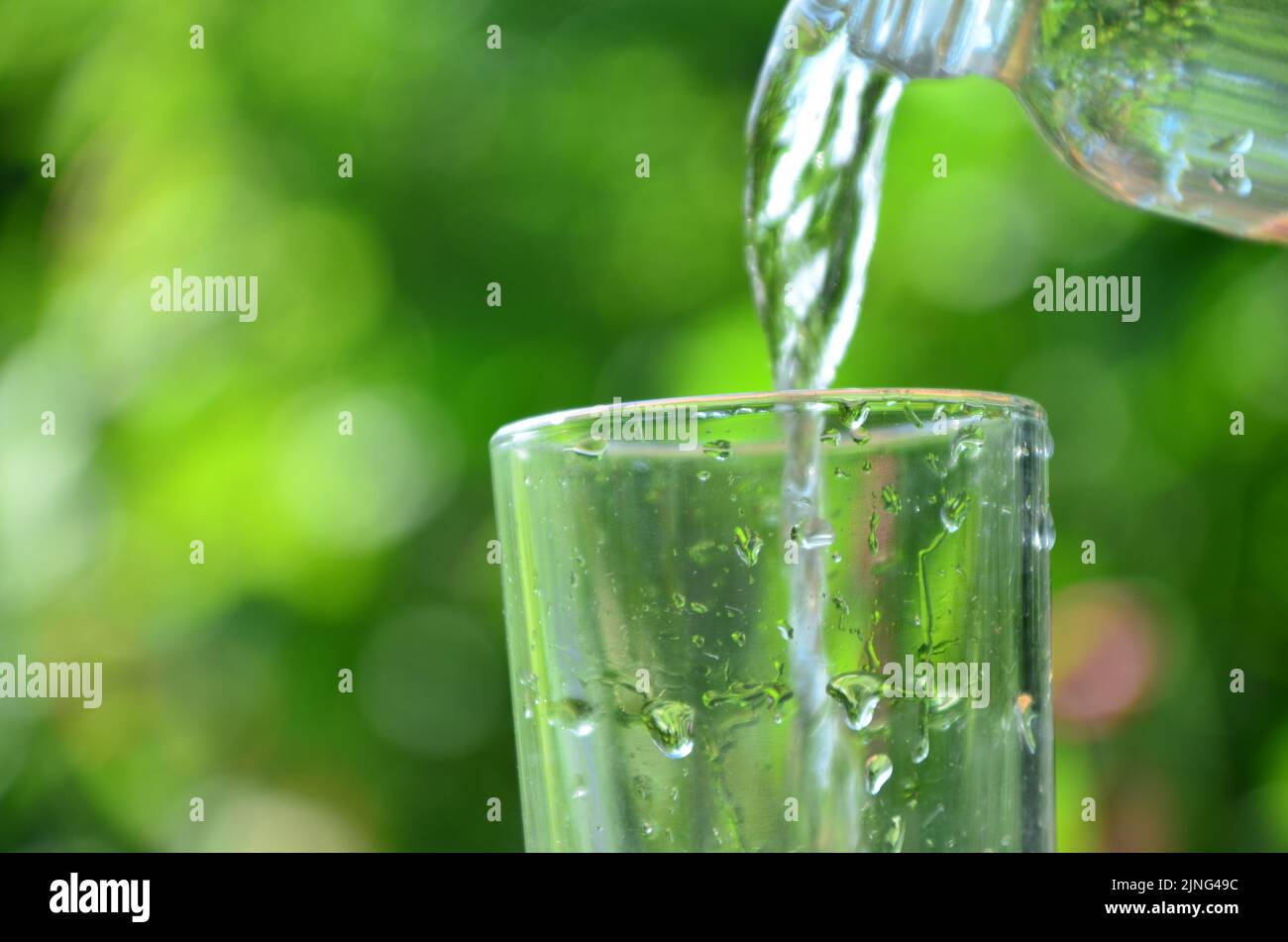 Drink water pouring in to glass outdoor over sunlight and natural green ...