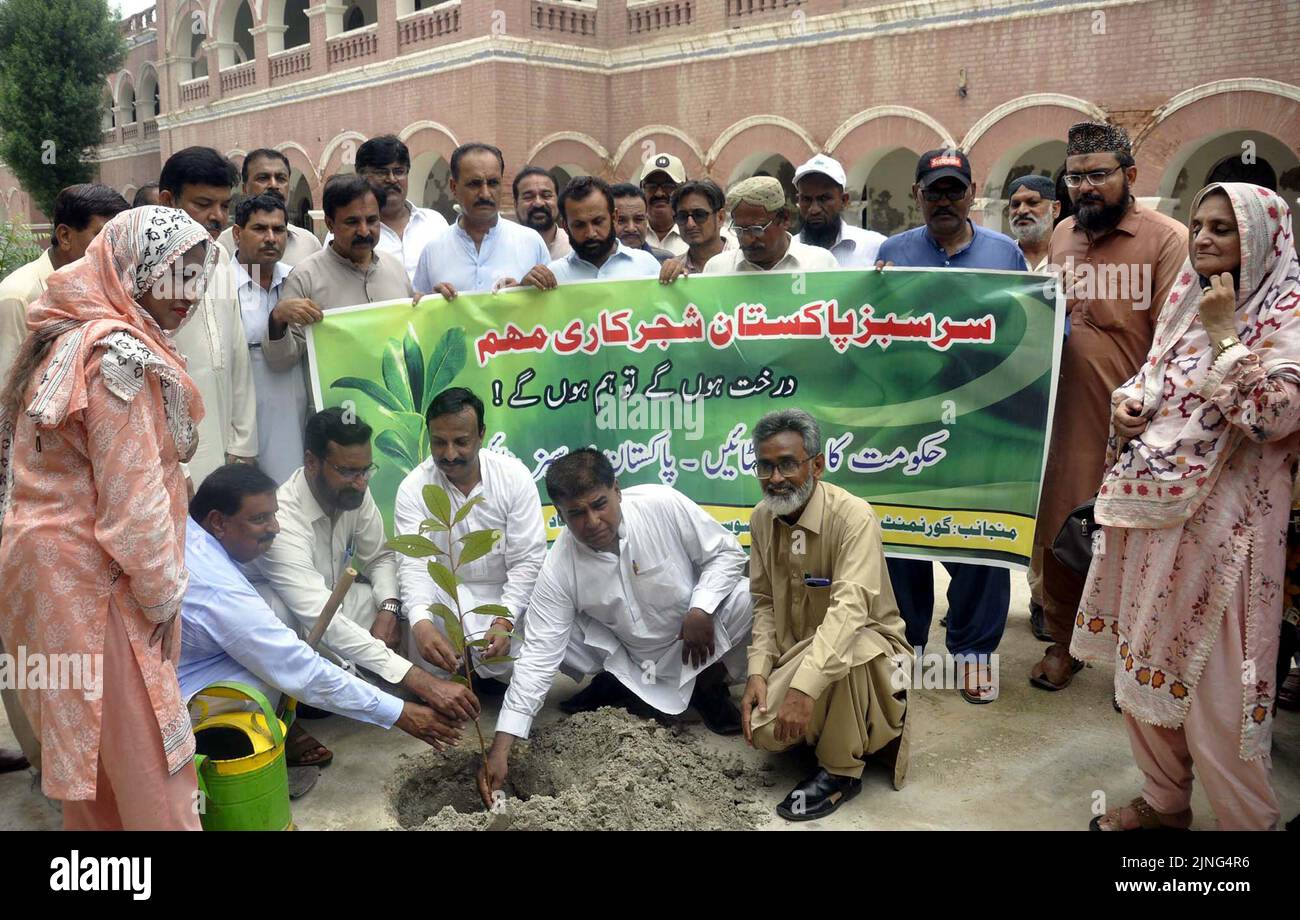 Members of Government Teachers Association are planting a tree during ...