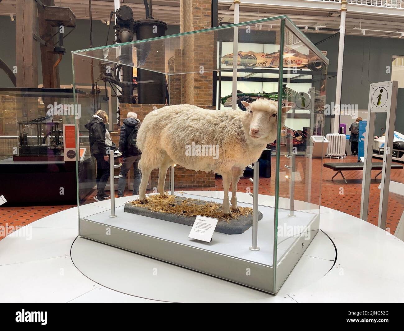 Dolly the sheep edinburgh hi-res stock photography and images - Alamy