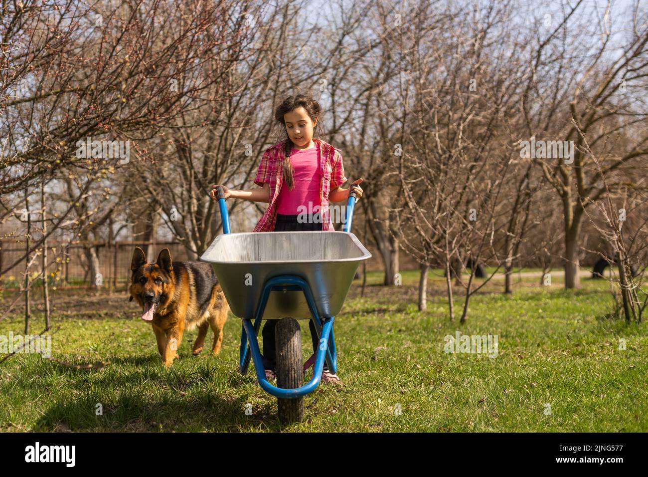 Adorable girl pushing wheelbarrow on a farm. Farming and gardening for ...